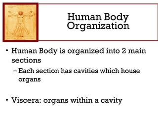 Anatomical positioning notes | PPT