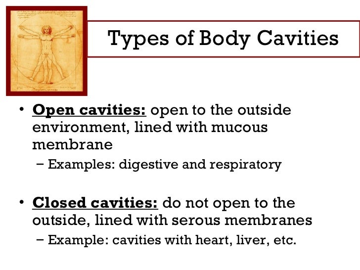 Anatomical positioning notes