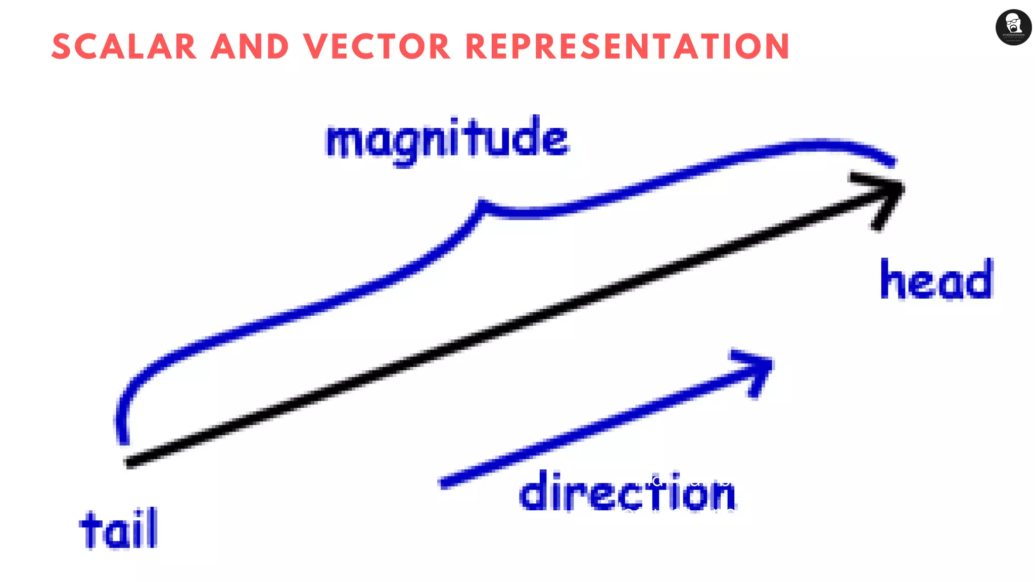 Unit 1 scalar and vector | PDF
