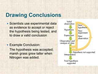 scientificmethod.ppt