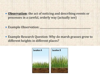scientificmethod.ppt