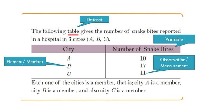 Unit 1 - Statistics (Part 1).pptx | College Education | Education