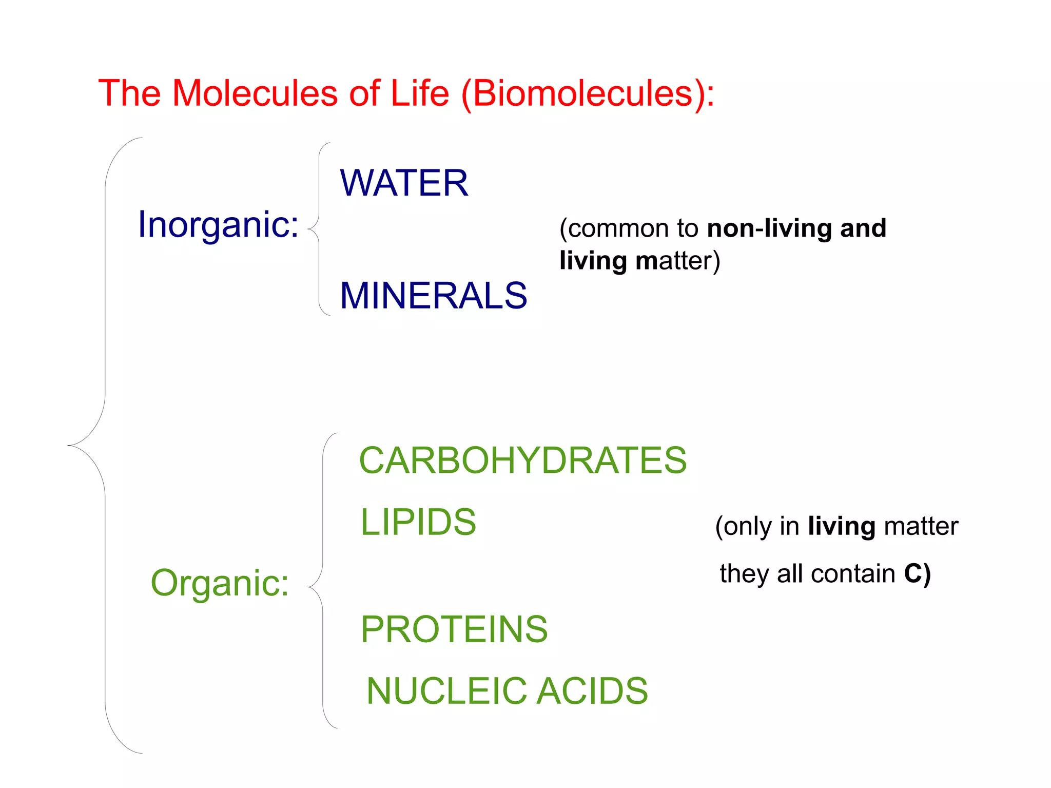 Unit1 the cell | PDF