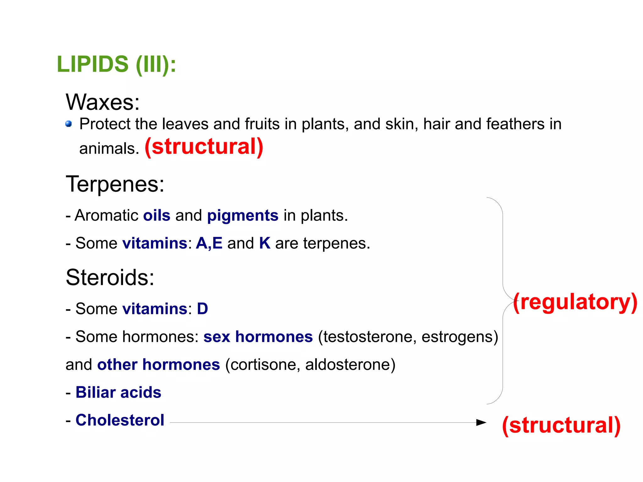 Unit1 the cell | PDF