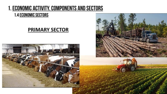 Unit 1 - The Economic Activities (PPT) | PDF | Business | Business and ...
