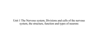 Unit one -The Nervous system presentation | PPTX