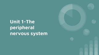 The peripheral nervous system | PPT
