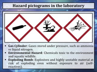 Unit 1 - The scientific method and the laboratory work | PDF