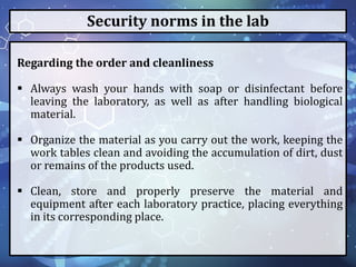 Unit 1 - The scientific method and the laboratory work | PDF