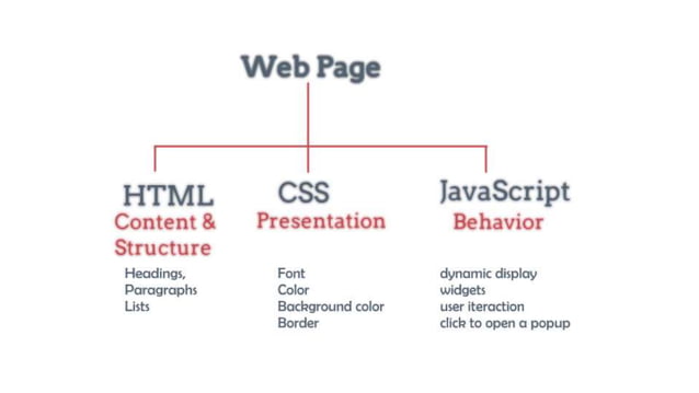 Unit 1 - TypeScript & Introduction to Angular CLI.pptx