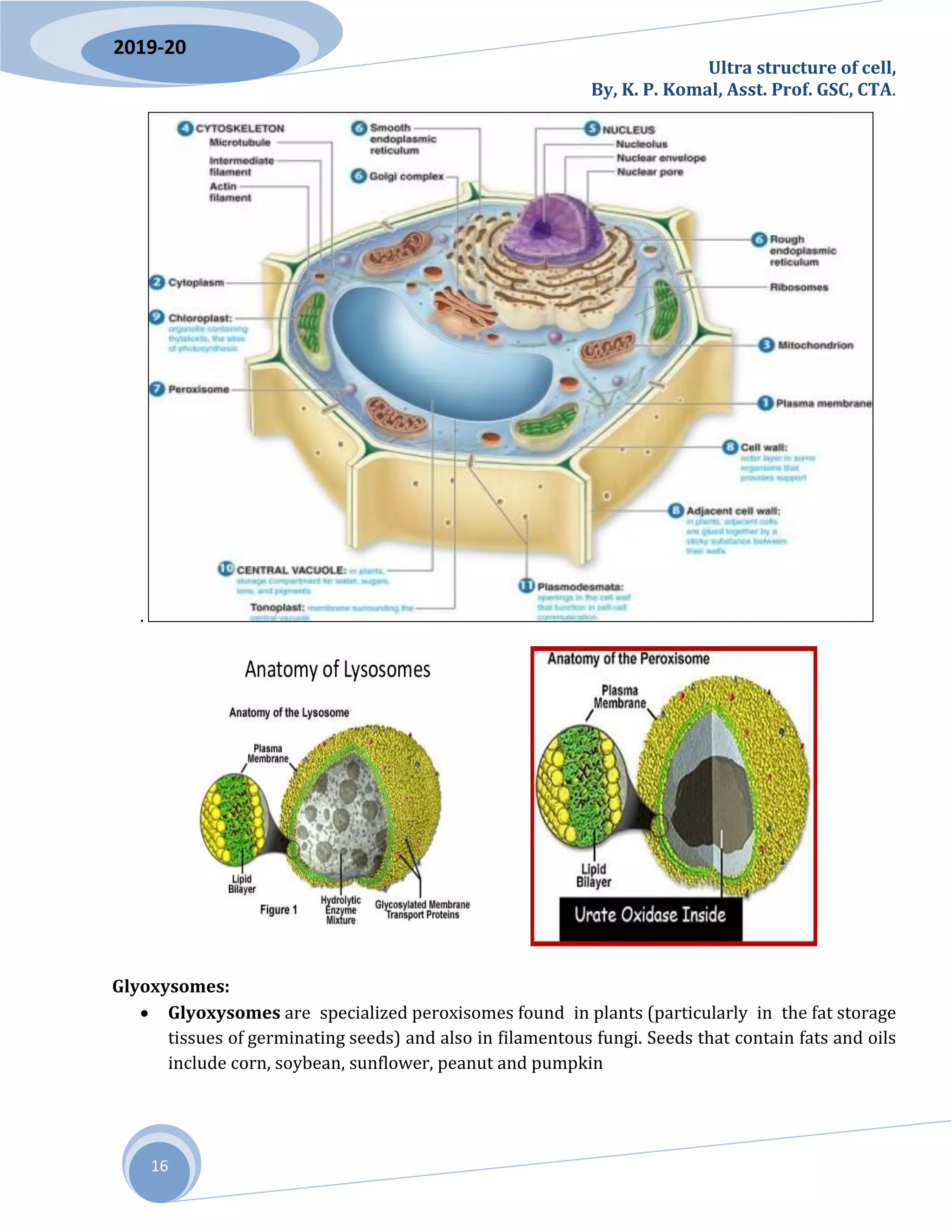 Unit1 ultra structure of cell | PDF