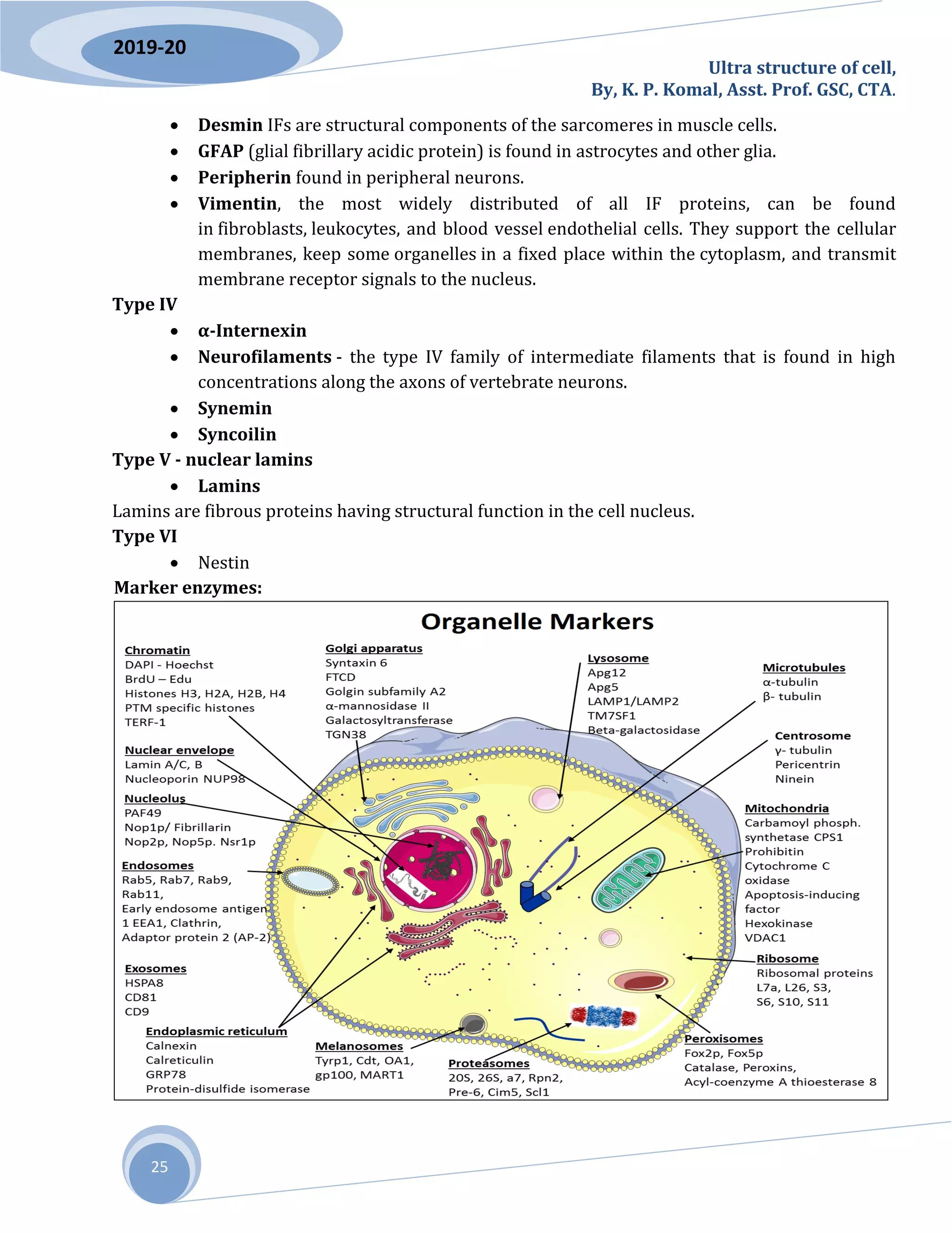Unit1 ultra structure of cell | PDF