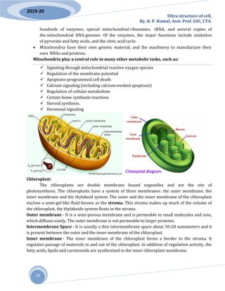 Unit1 ultra structure of cell | PDF