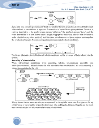 Unit1 ultra structure of cell | PDF