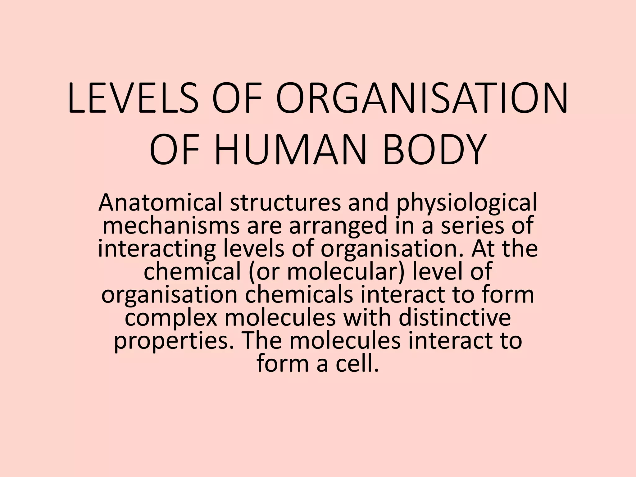 UNIT 1-anatomical term | PPT