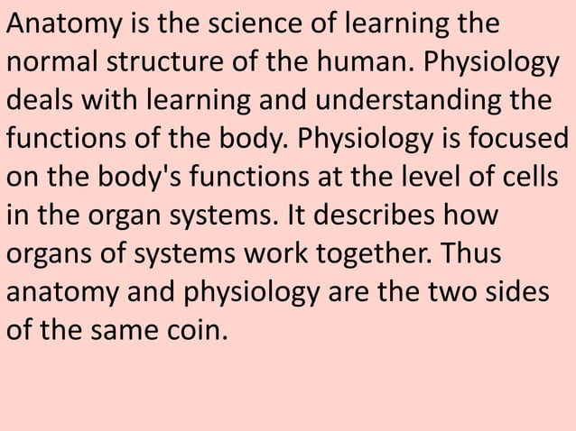 UNIT 1-anatomical term | PPT