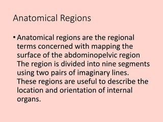 UNIT 1-anatomical term | PPT