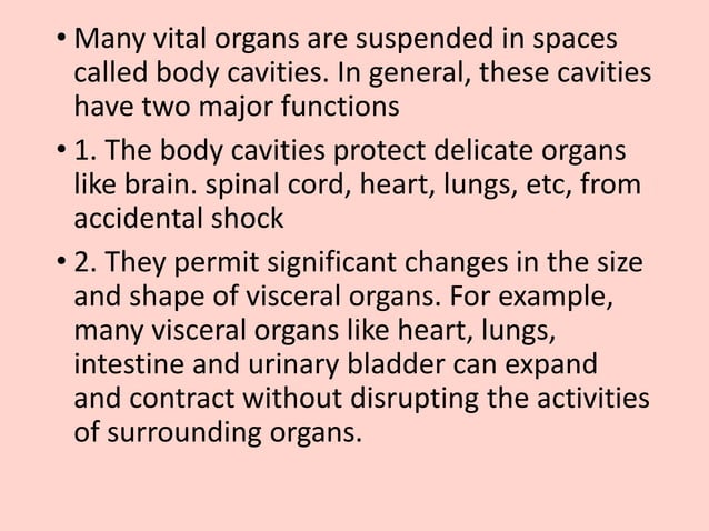 UNIT 1-anatomical term | PPT