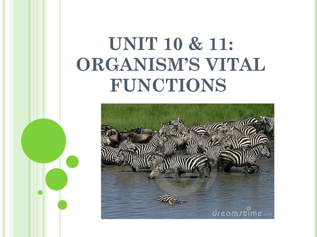 Unit 10 & 11: Organism's vital functions | PPT