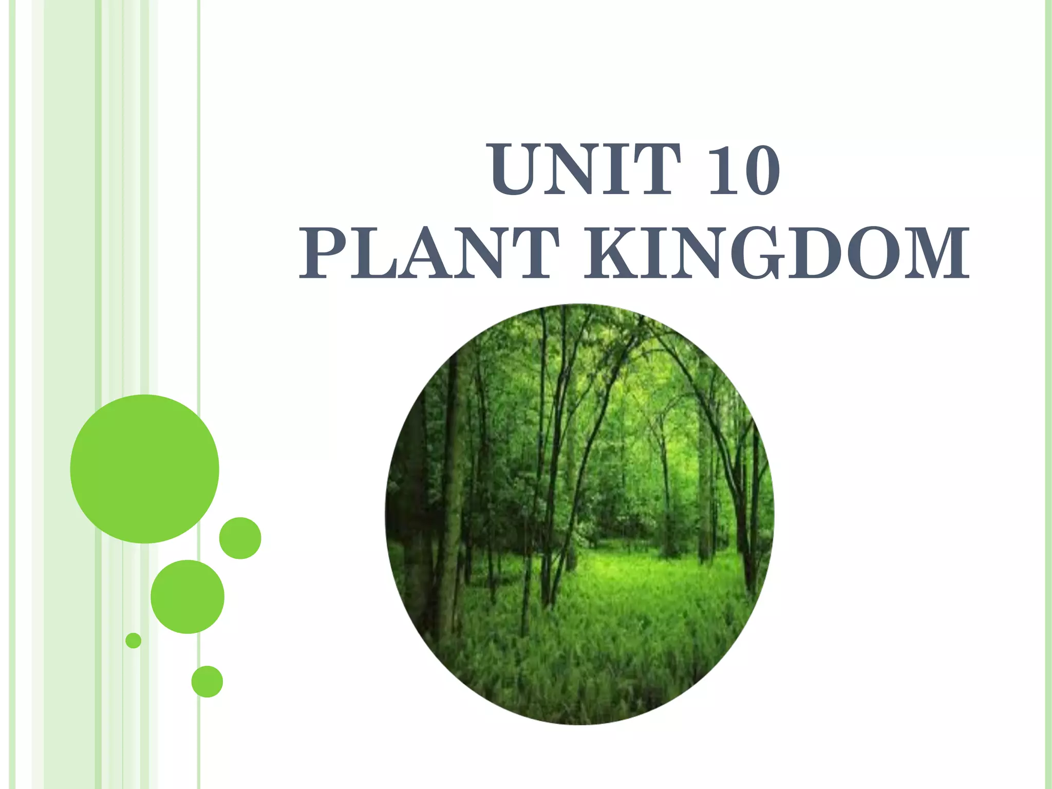 Unit 10: Plant kingdom | PPT