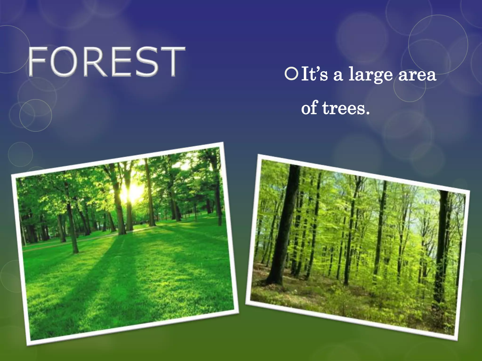 Basic geography terms | PPTX