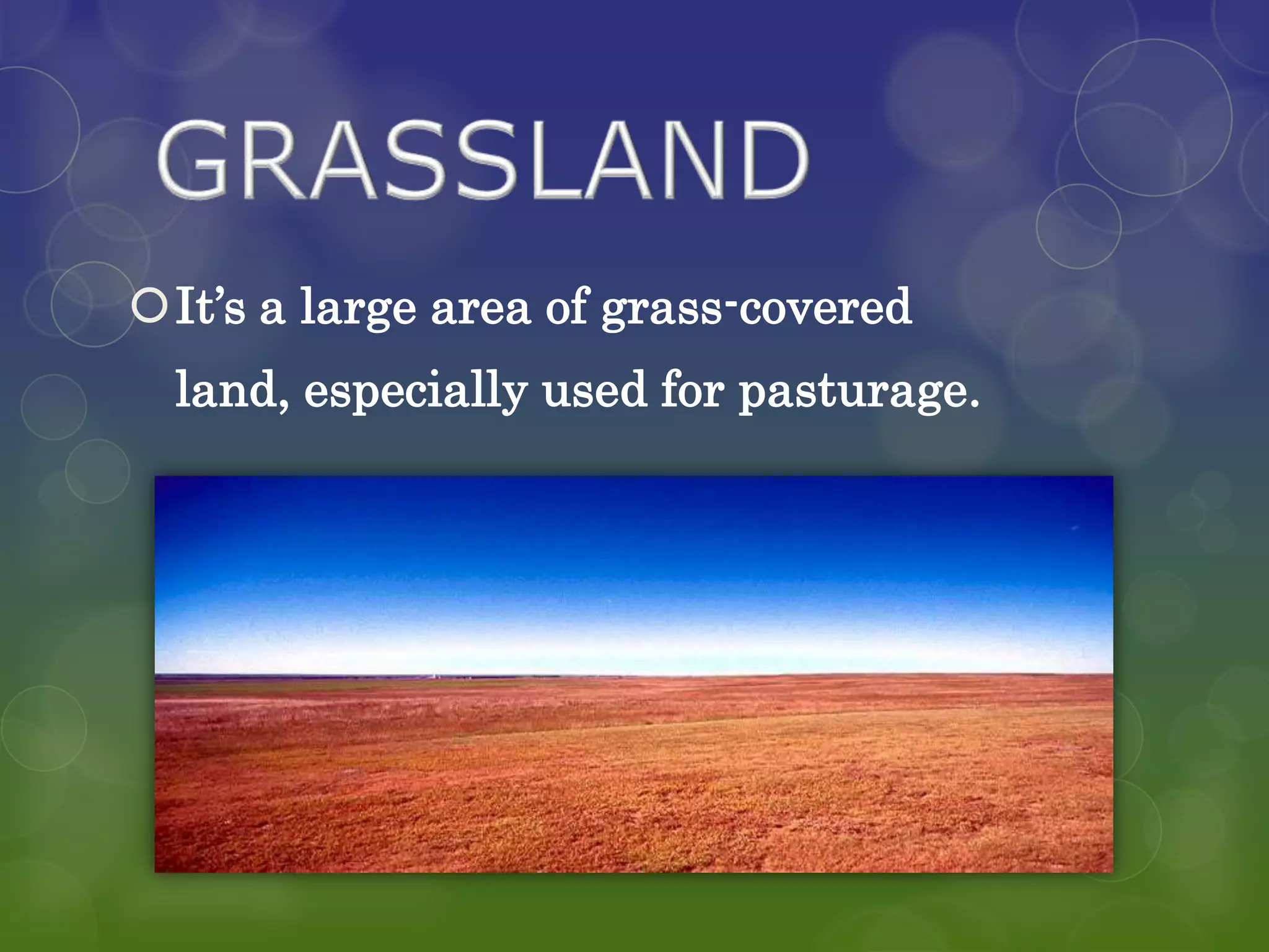 Basic geography terms | PPTX