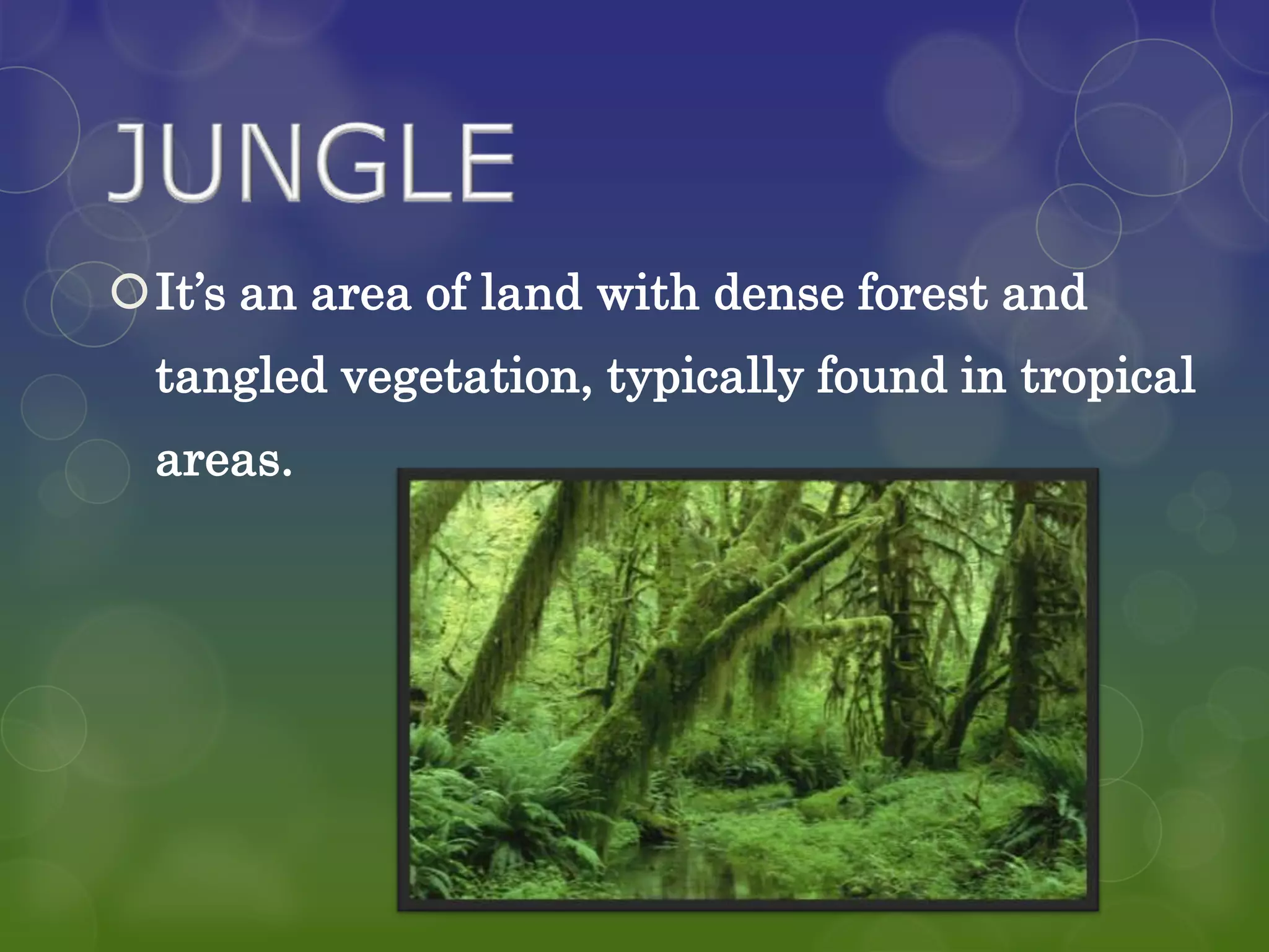 Basic geography terms | PPTX