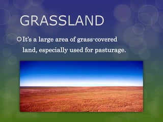 Basic geography terms | PPTX