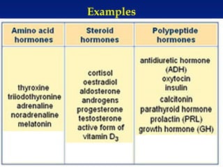 Unit 10 - HORMONES endocrine system of human | PPT