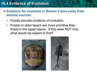 Unit 10 natural selection | PPTX