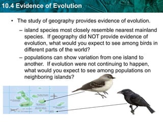 Unit 10 natural selection | PPTX | Biological Sciences | Science