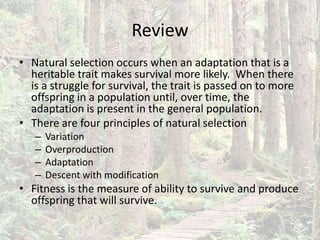 Unit 10 natural selection | PPTX | Biological Sciences | Science