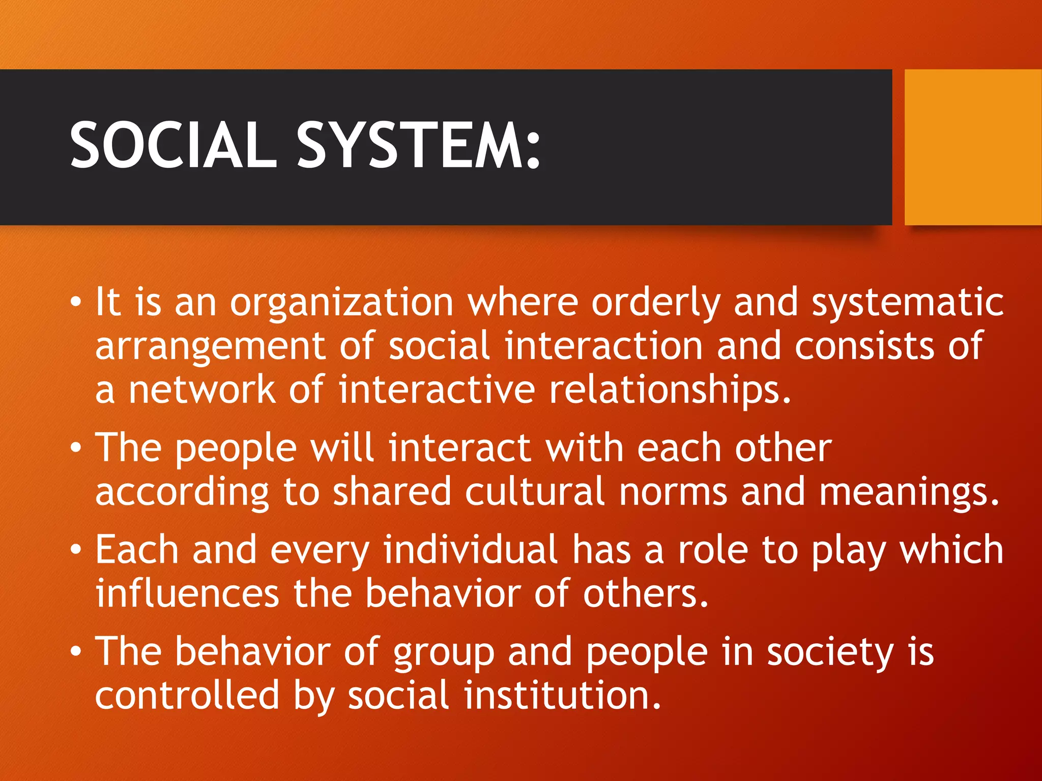 Unit 10 social organization and social system | PPTX