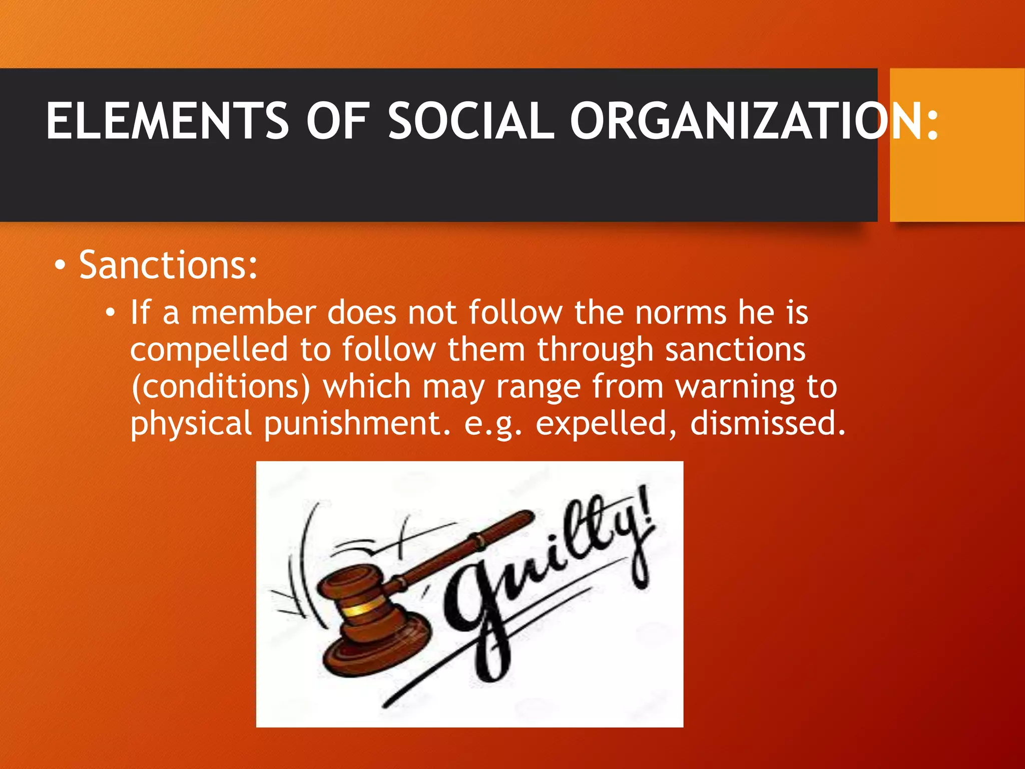 Unit 10 social organization and social system | PPTX