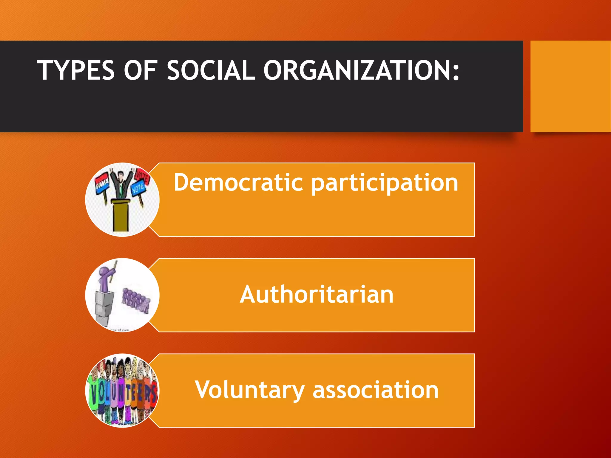 Unit 10 social organization and social system | PPTX