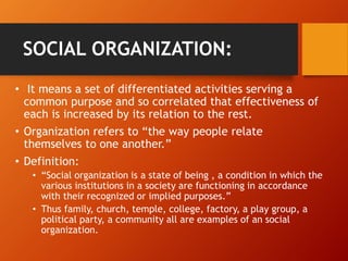 Unit 10 social organization and social system | PPTX