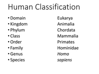 Kingdom Phylum Class Order Family Genus Species Human