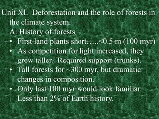 Deforestation | PPTX