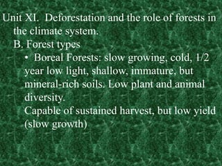 Deforestation | PPTX