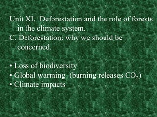 unit10 deforestation.ppt