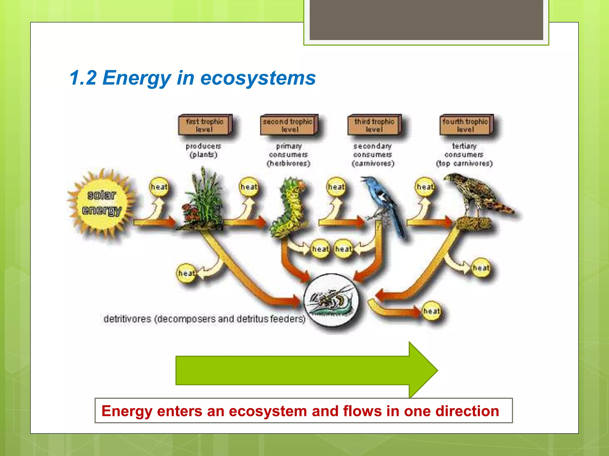 Unit10 Ecosystems | PPTX