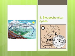 Unit10 Ecosystems | PPTX
