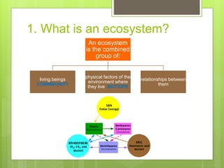 Unit10 Ecosystems | PPTX