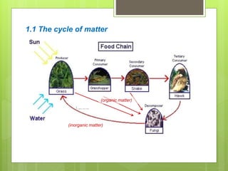 Unit10 Ecosystems | PPTX
