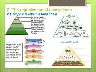 Unit10 Ecosystems | PPTX