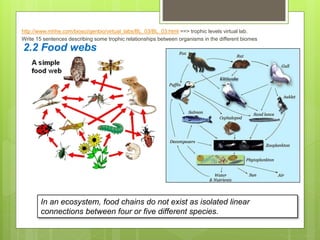Unit10 Ecosystems | PPTX