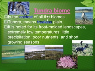 Unit 10 ecosystems biomes and biospheres | PPTX