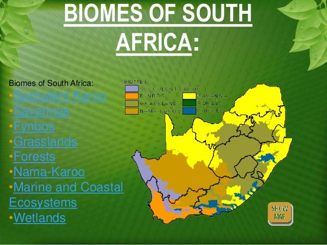 Unit 10 ecosystems biomes and biospheres