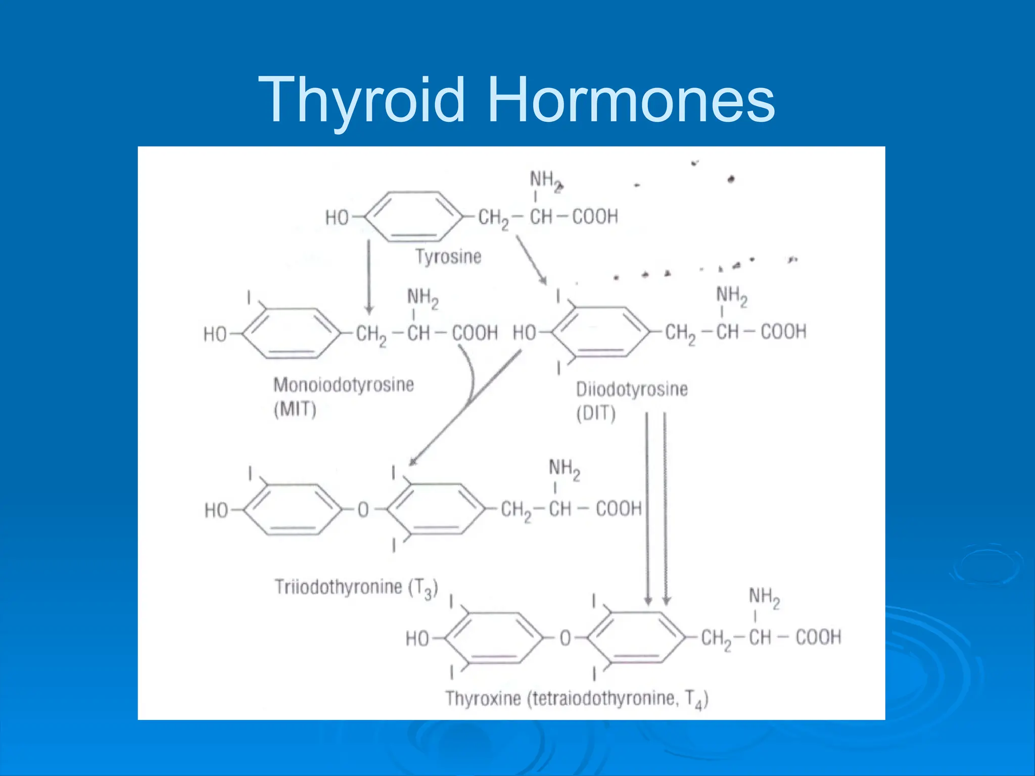 Unit_10_Thyroid_Additional_pictures_and_information.pptx | Thyroid ...
