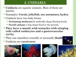 Unit 11. Invertebrates | PPT